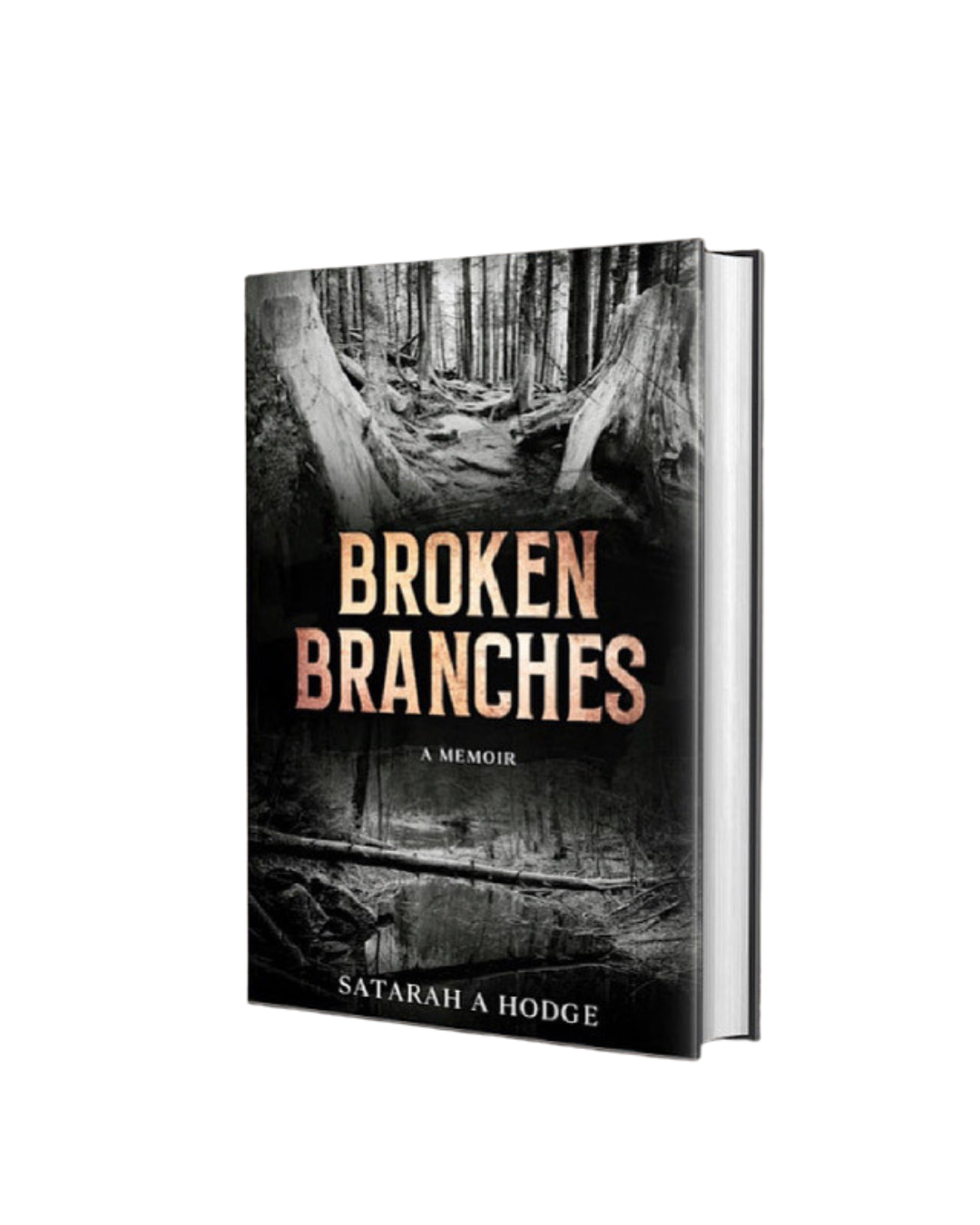 broken branches fund